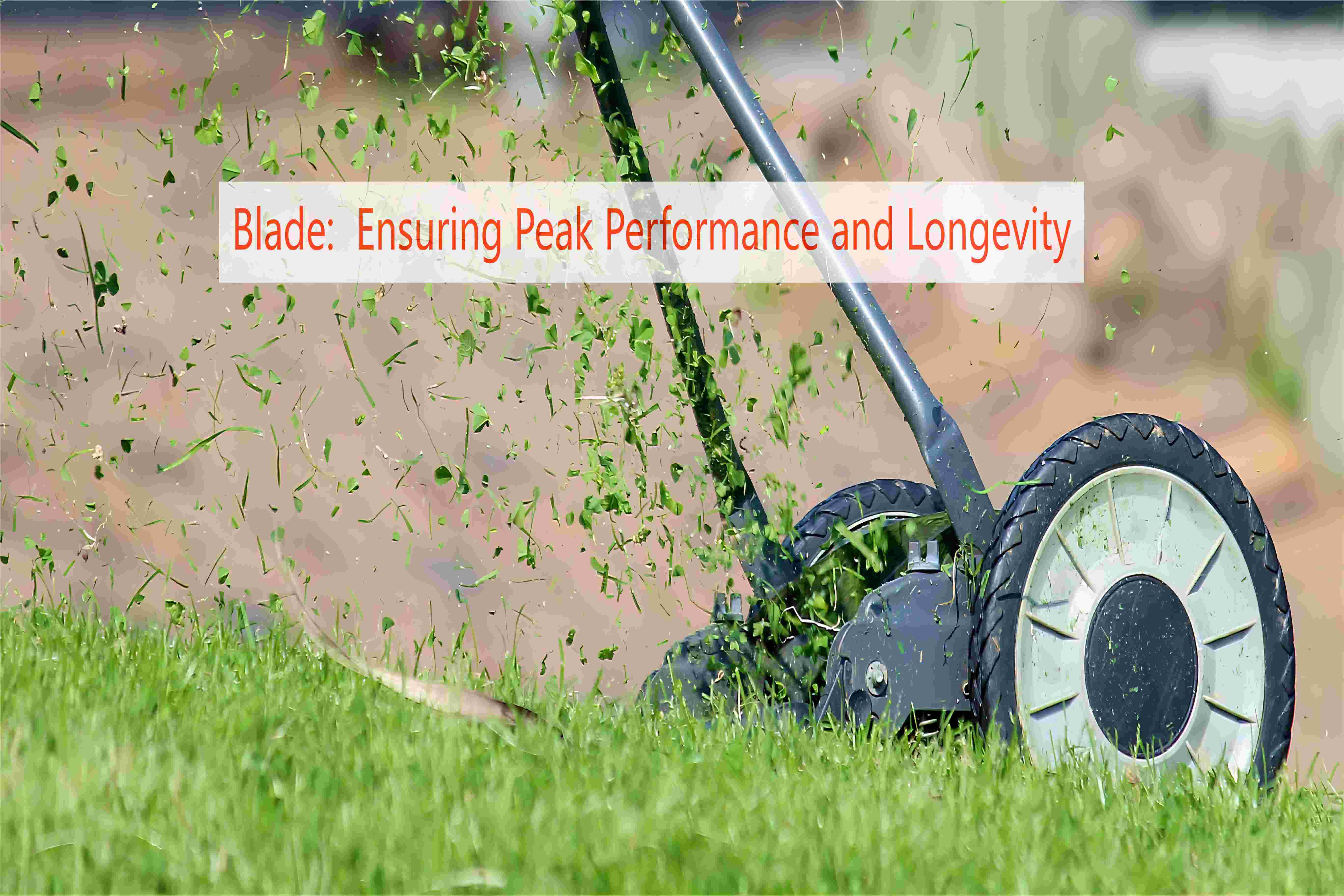 Blade: Ensuring Peak Performance and Longevity